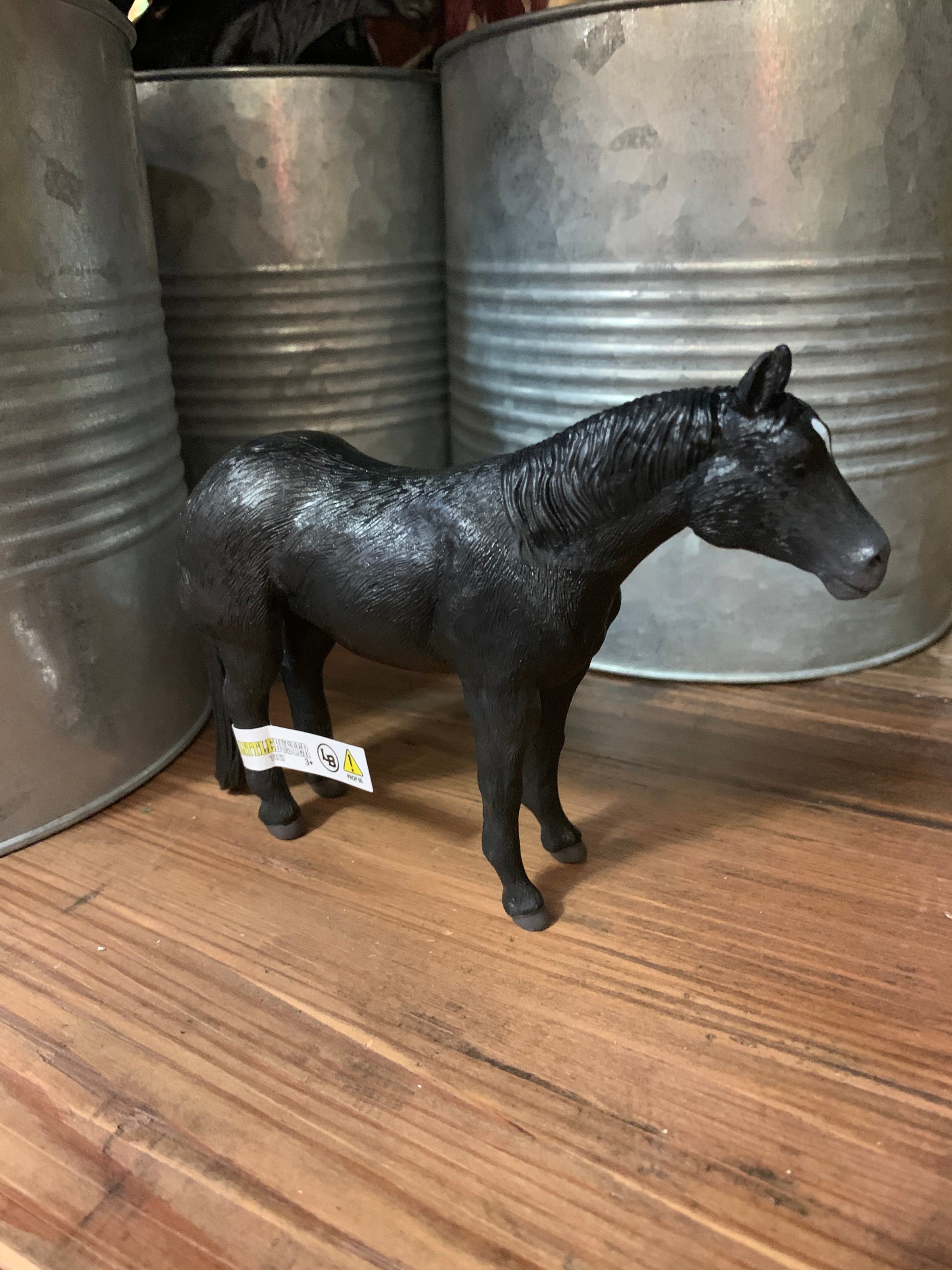 Black American Quarter Horse