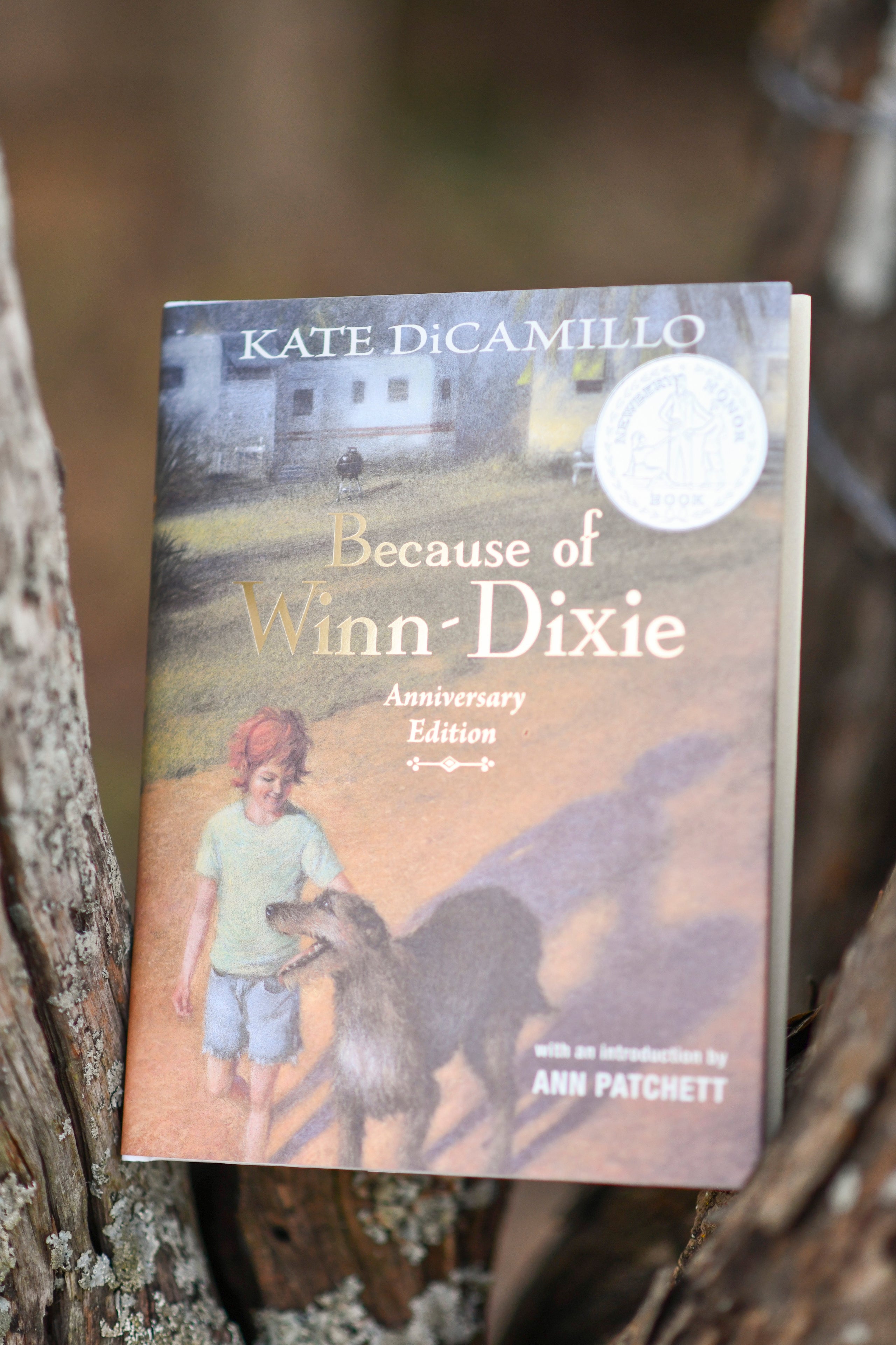 Because of Winn-Dixie | Farm Girl: Rural Boutique + General Store